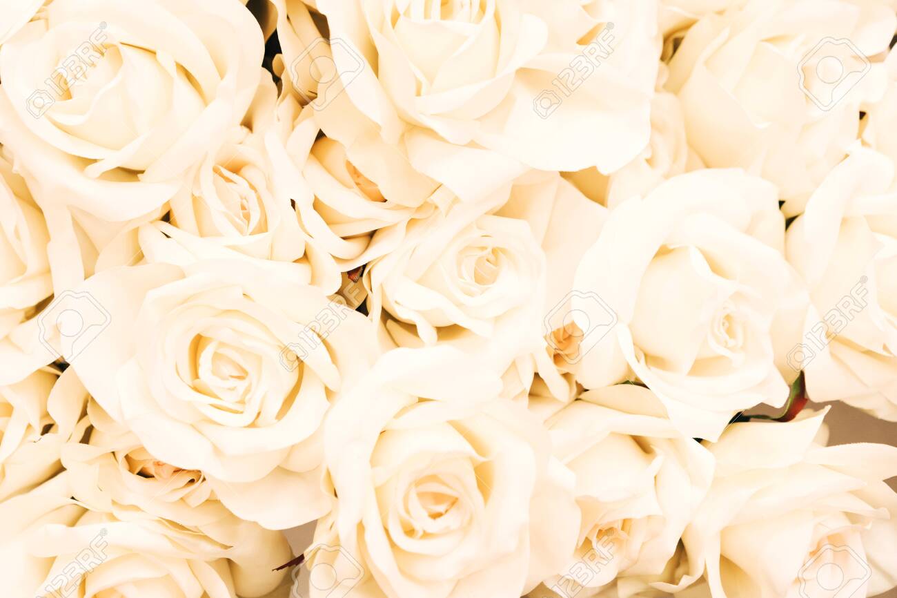 ivory flower background