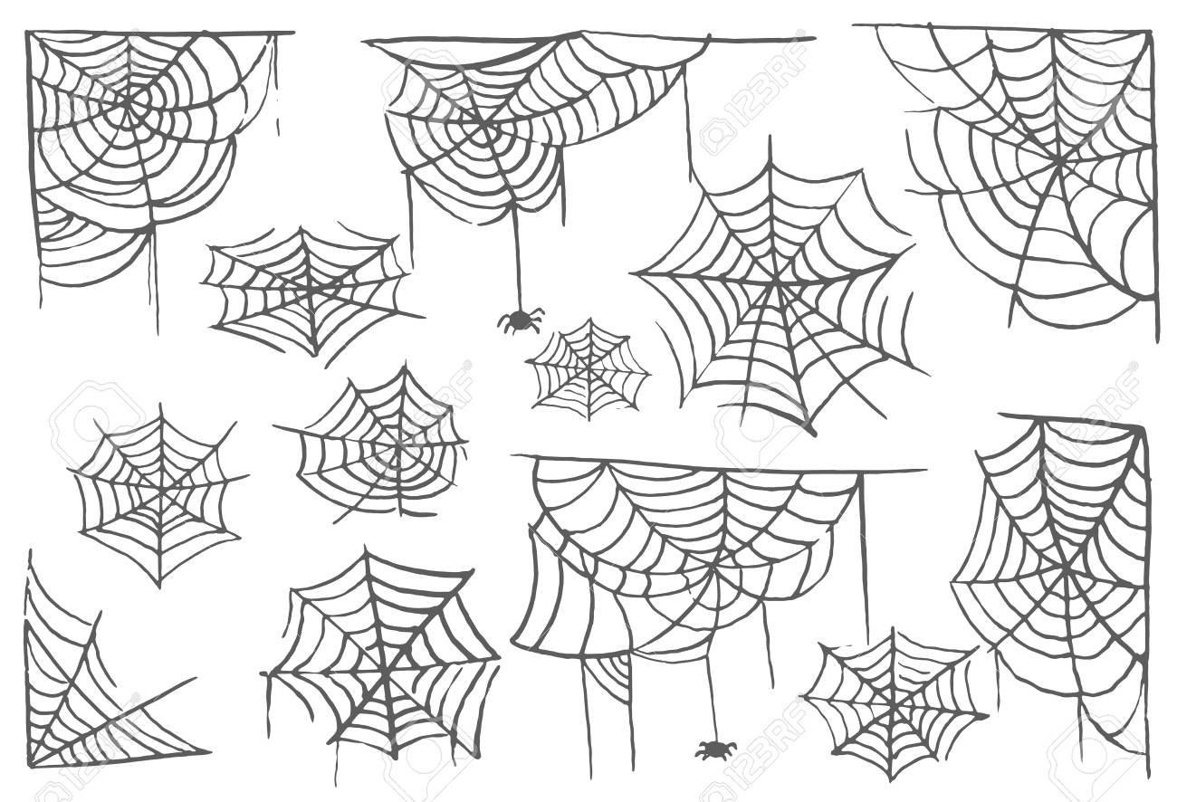 Spider web transparent store