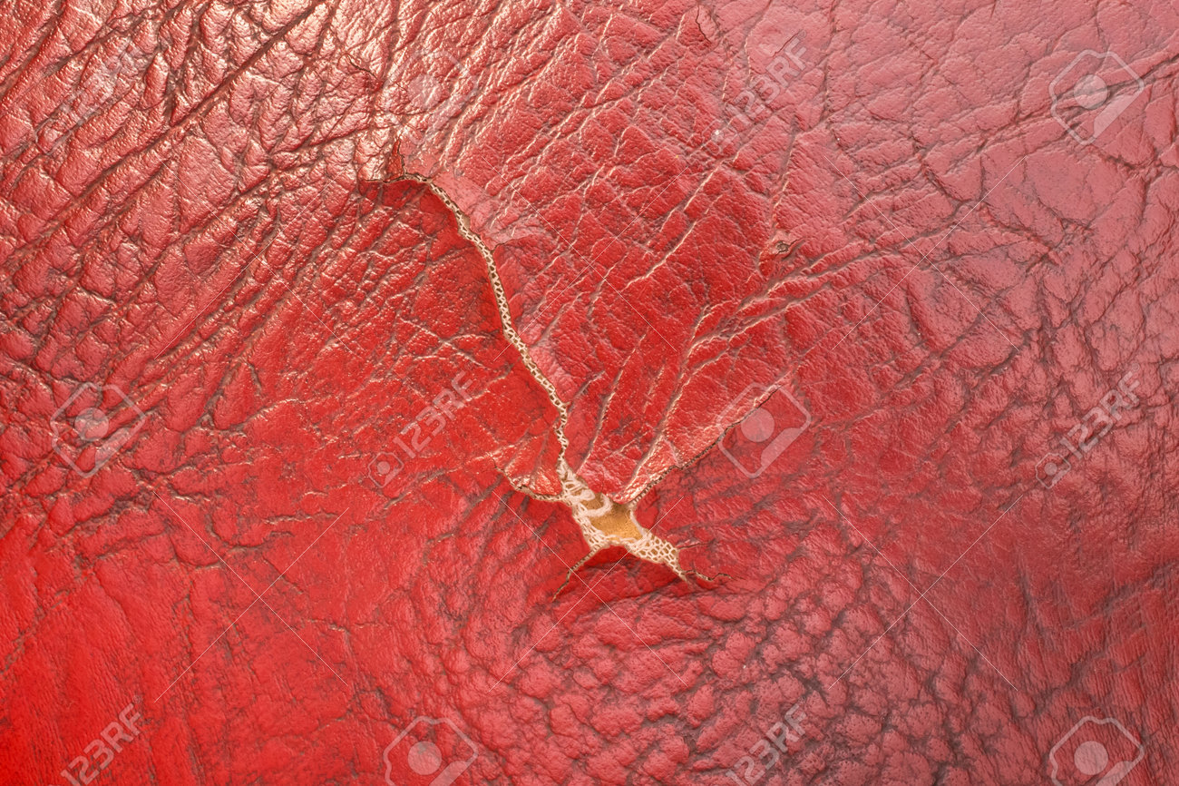 ripped leather texture