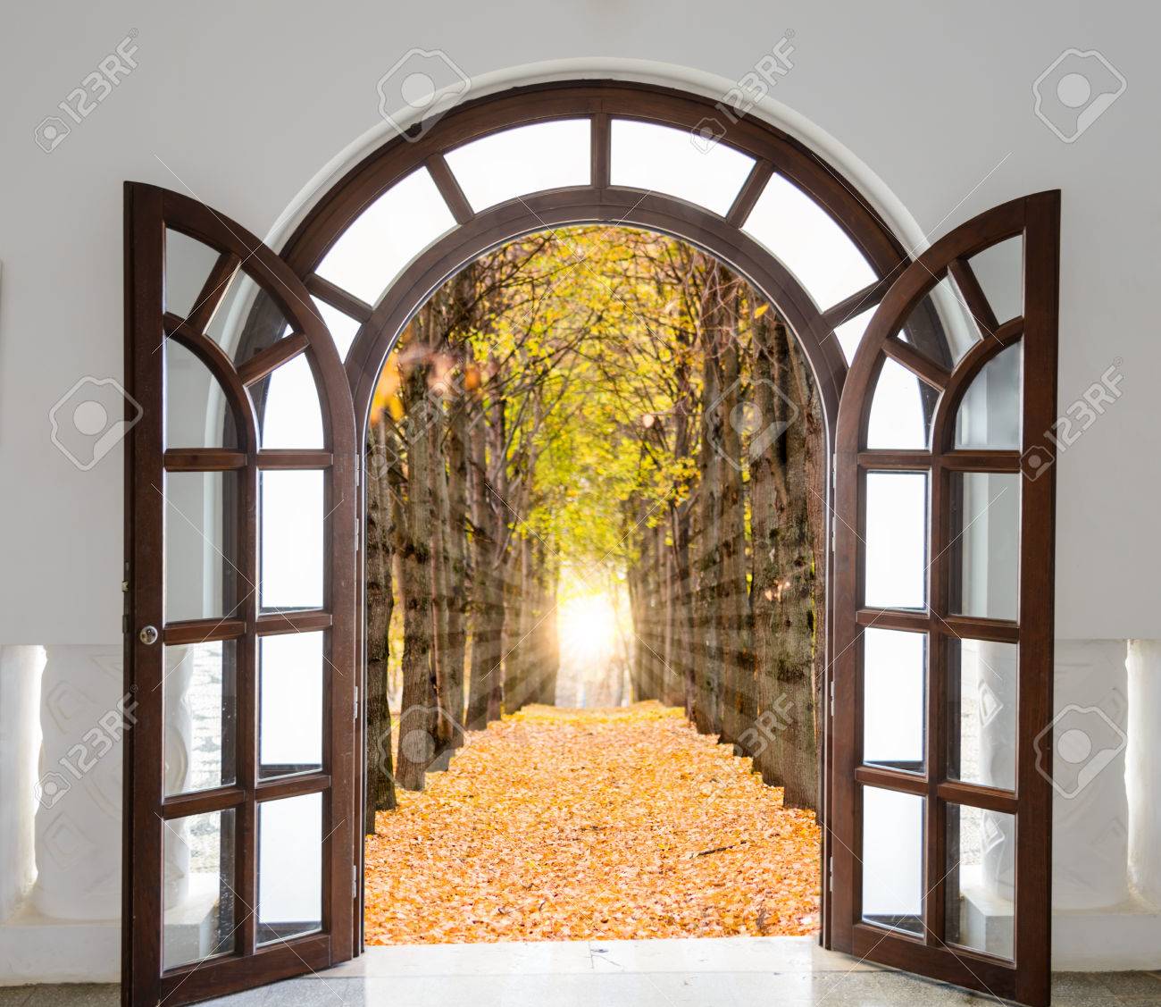 Door view store