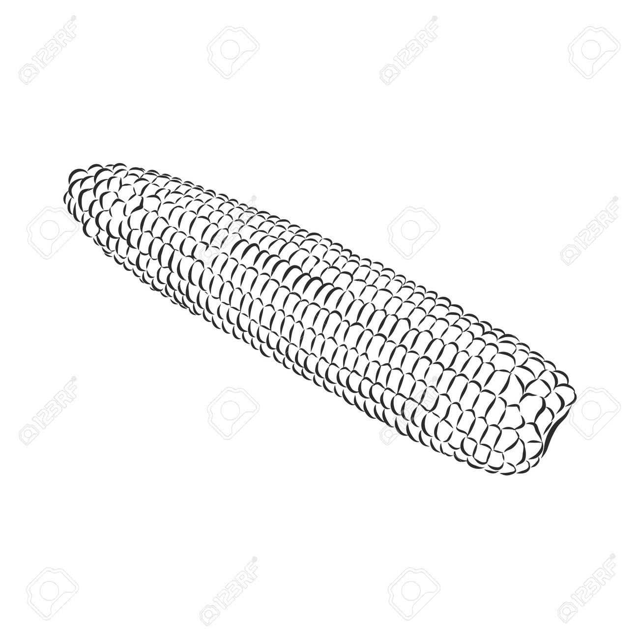 corn on the cob coloring picture