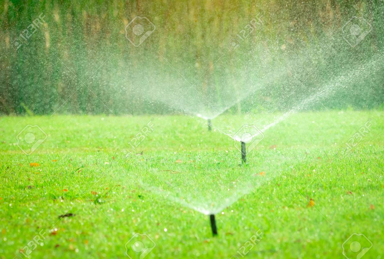 Automatic Lawn Sprinkler Watering Green Grass. Sprinkler With Automatic System. Garden Irrigation System Watering Lawn. Water Saving Or Water Conservation From Sprinkler System With Adjustable Head