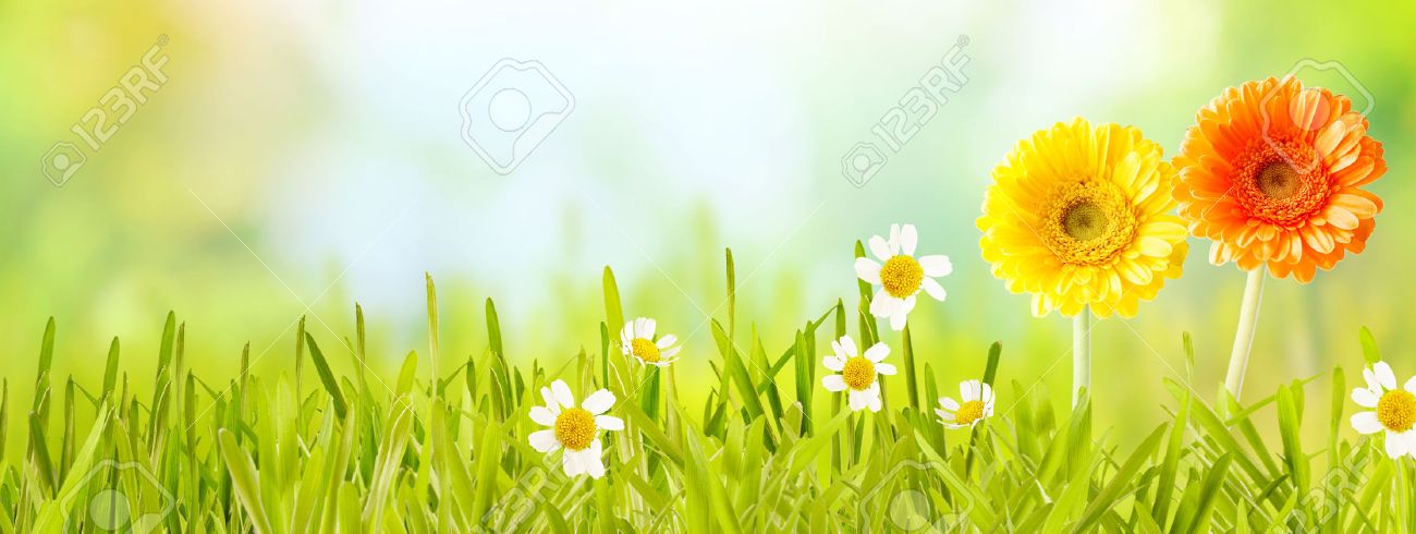 spring banner