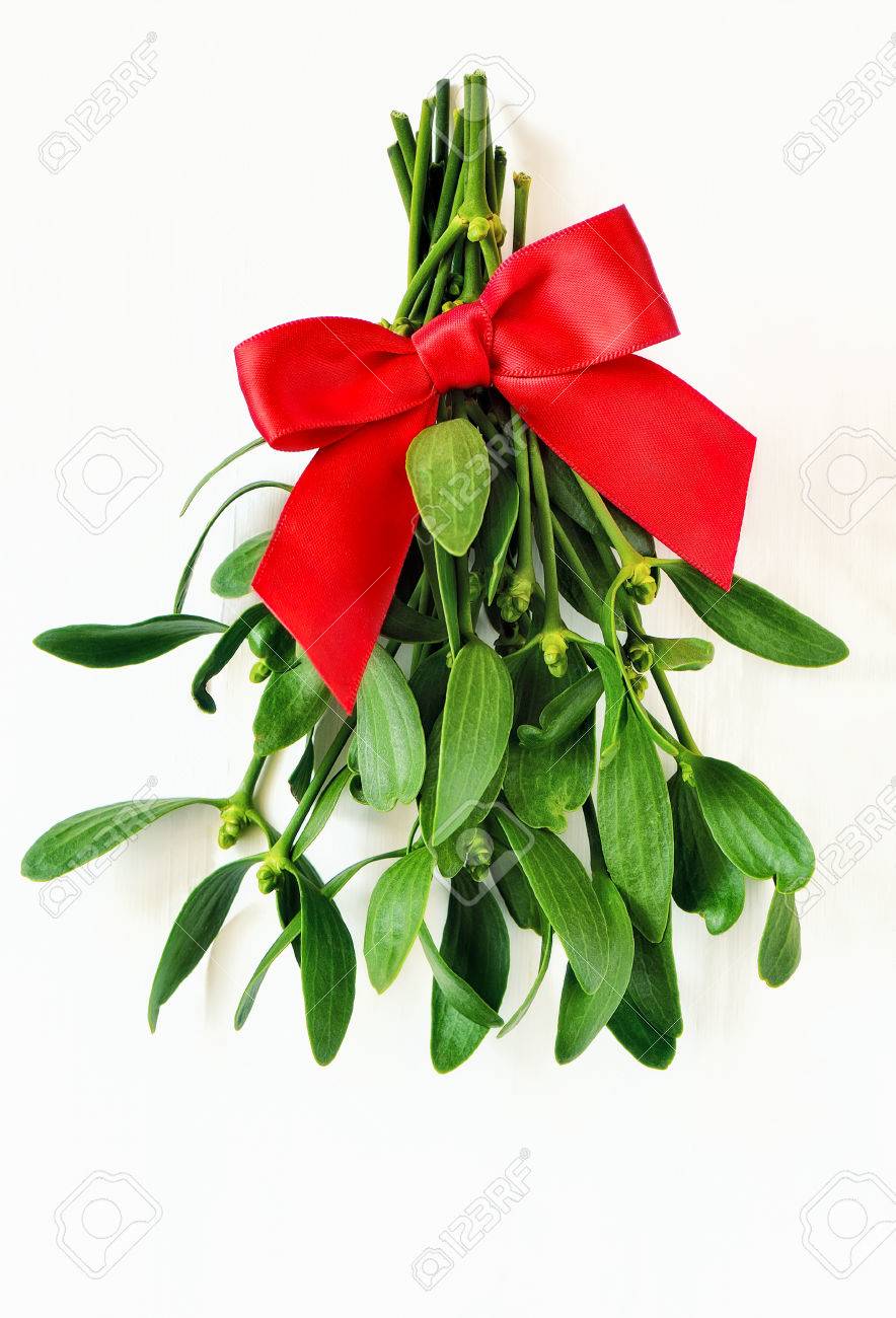 mistletoe bunches