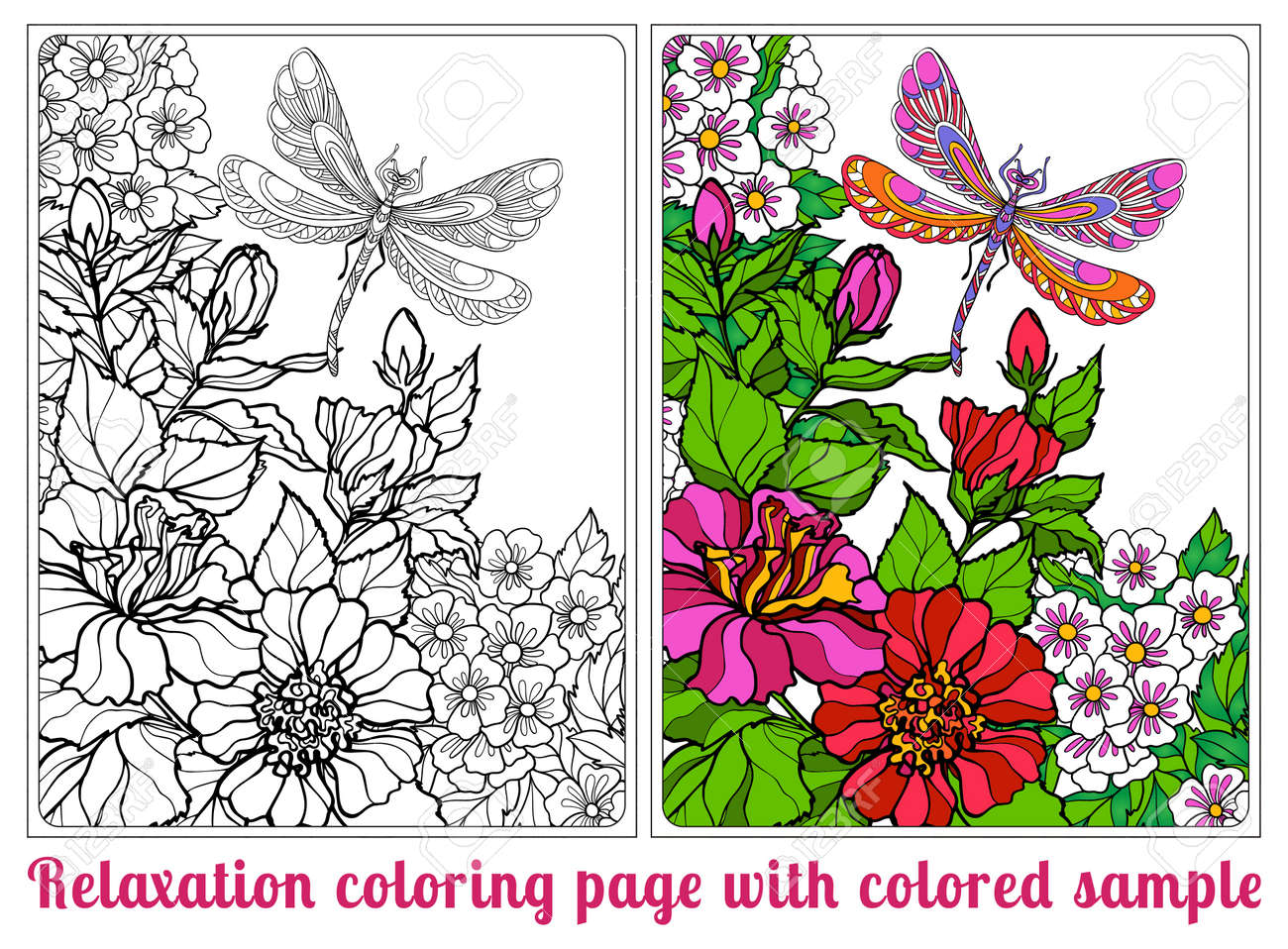 flower and butterflies coloring pages