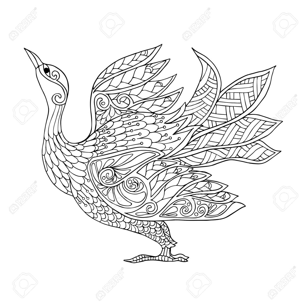 bird outlines or coloring pages