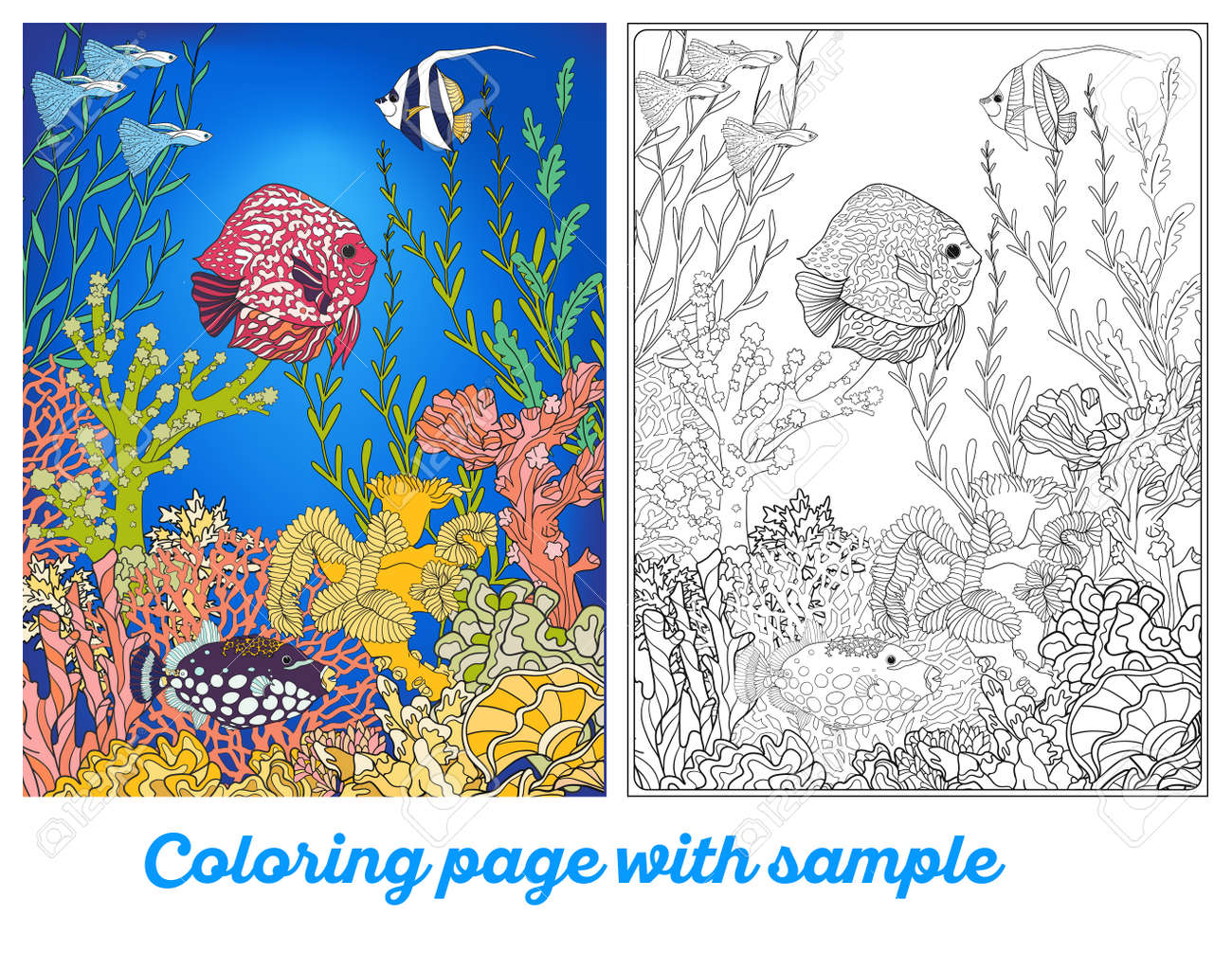 underwater coloring pages for adults