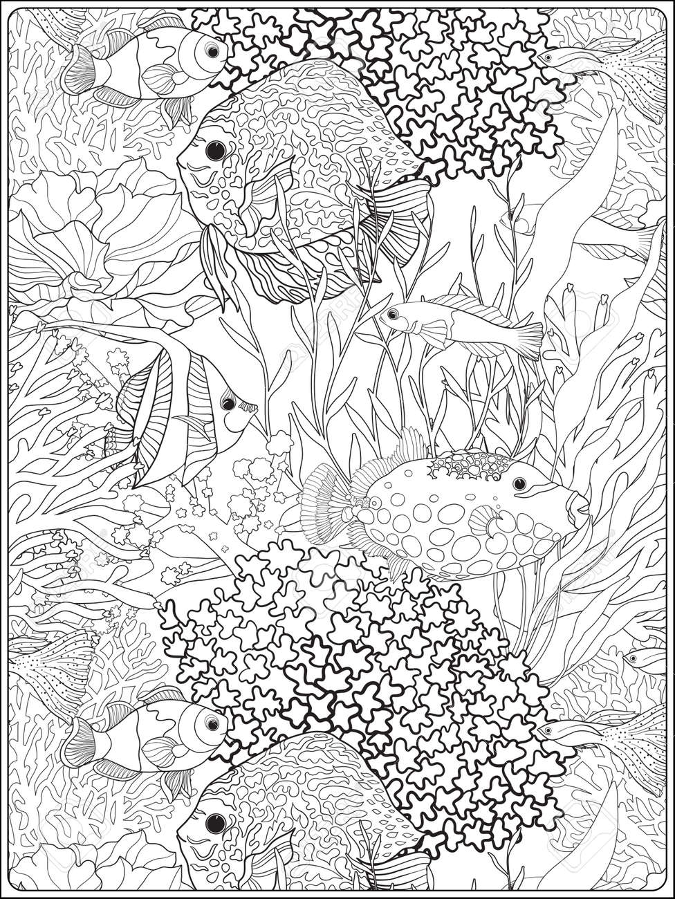 free aquarium coloring pages