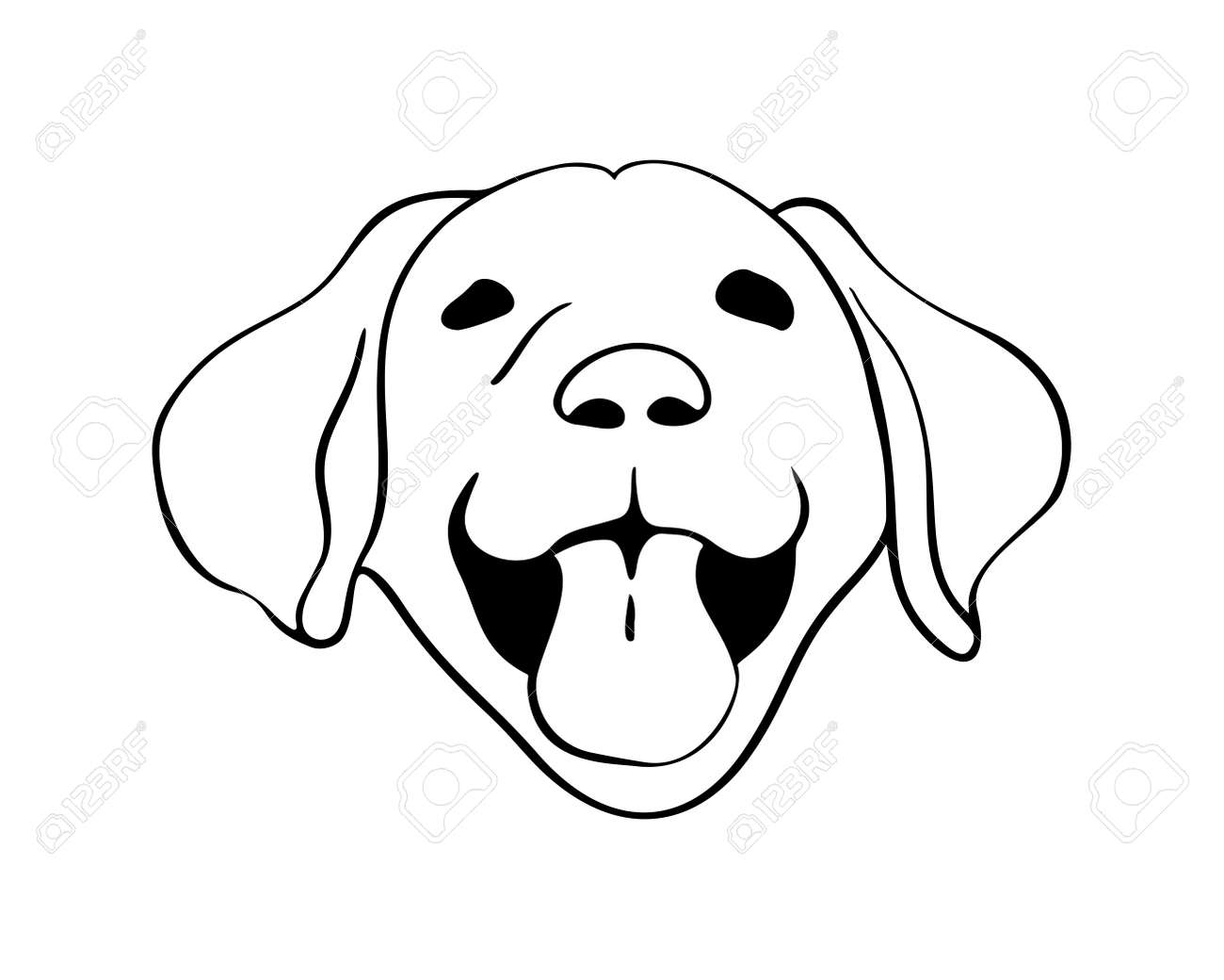 labrador drawing face