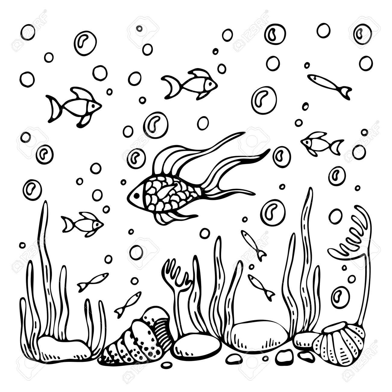 how to draw coral reef fish