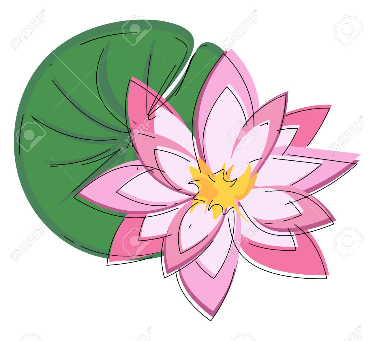 water lily leaf vector