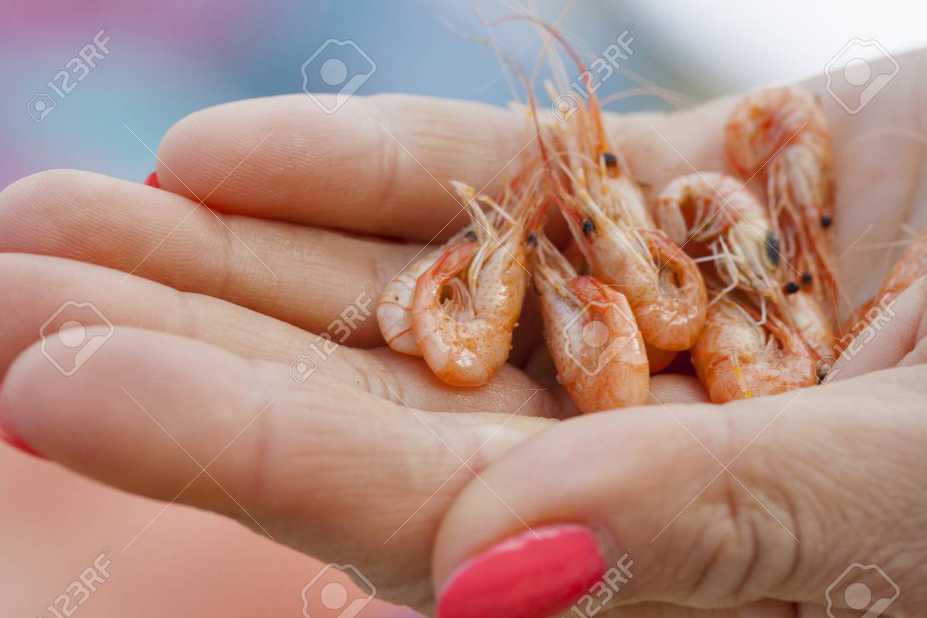 Small prawns store