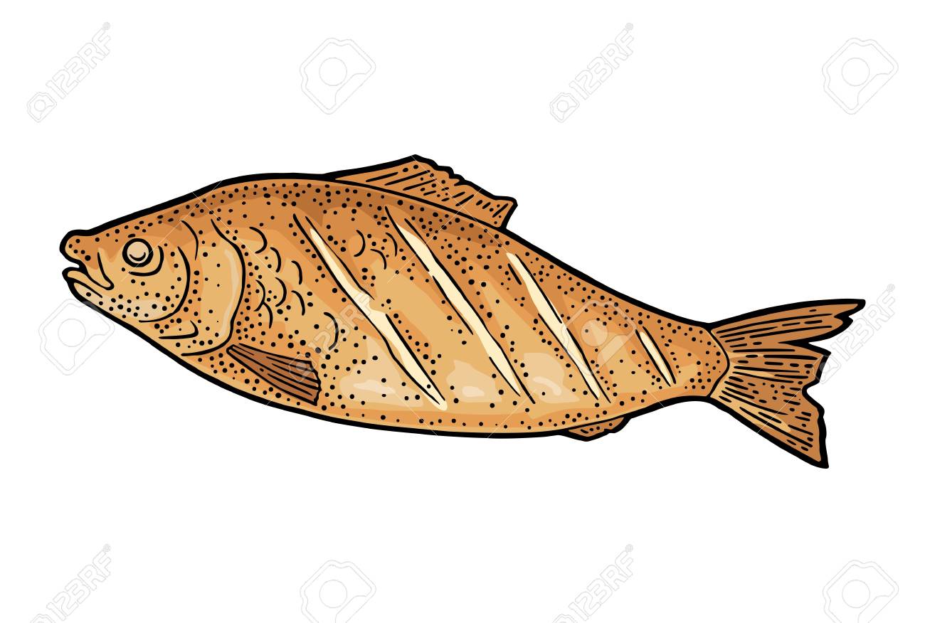 grilled fish drawing