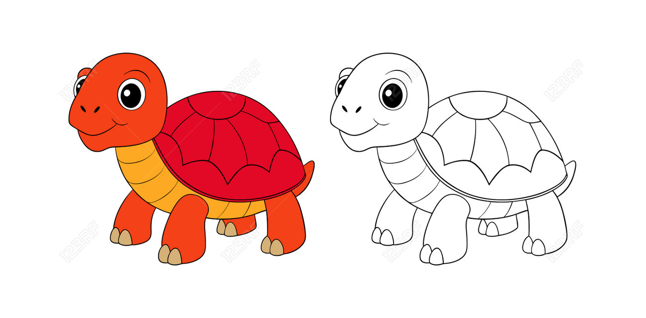 tortoise outline pic