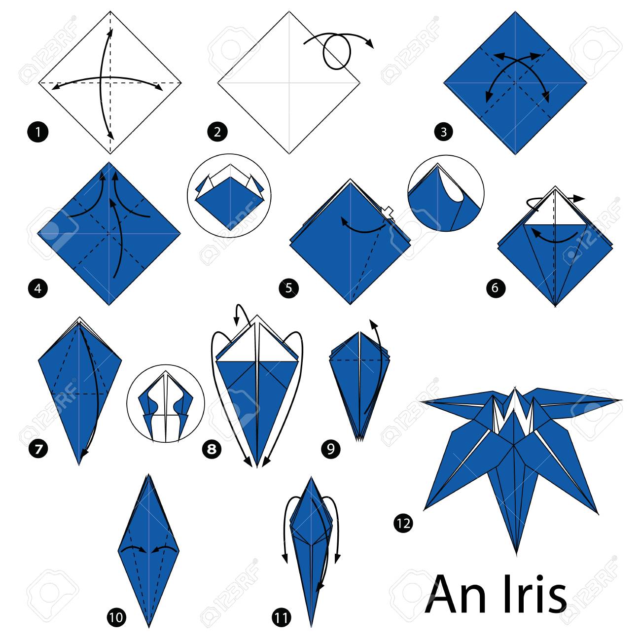 Origami iris store