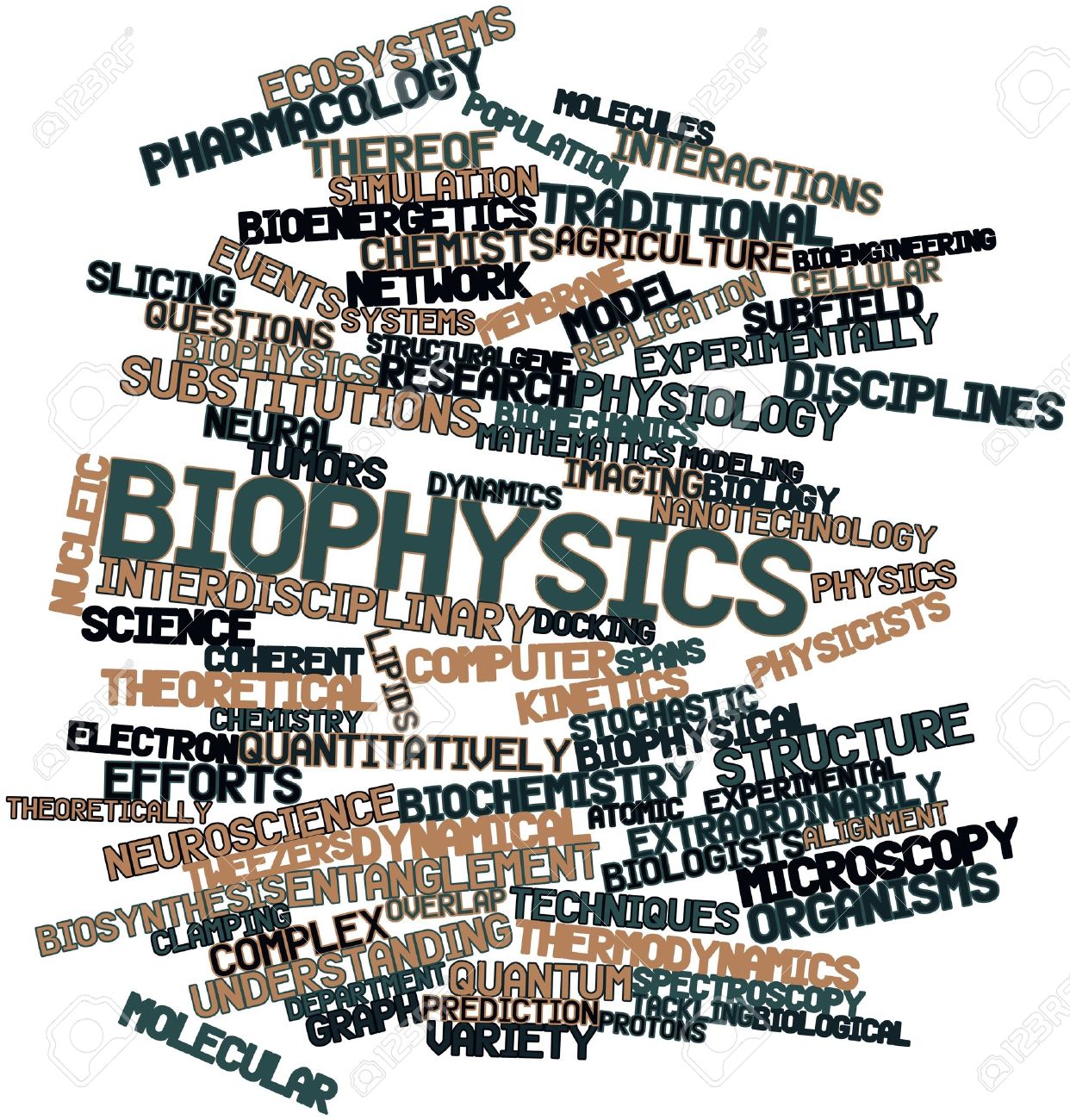 physics word cloud