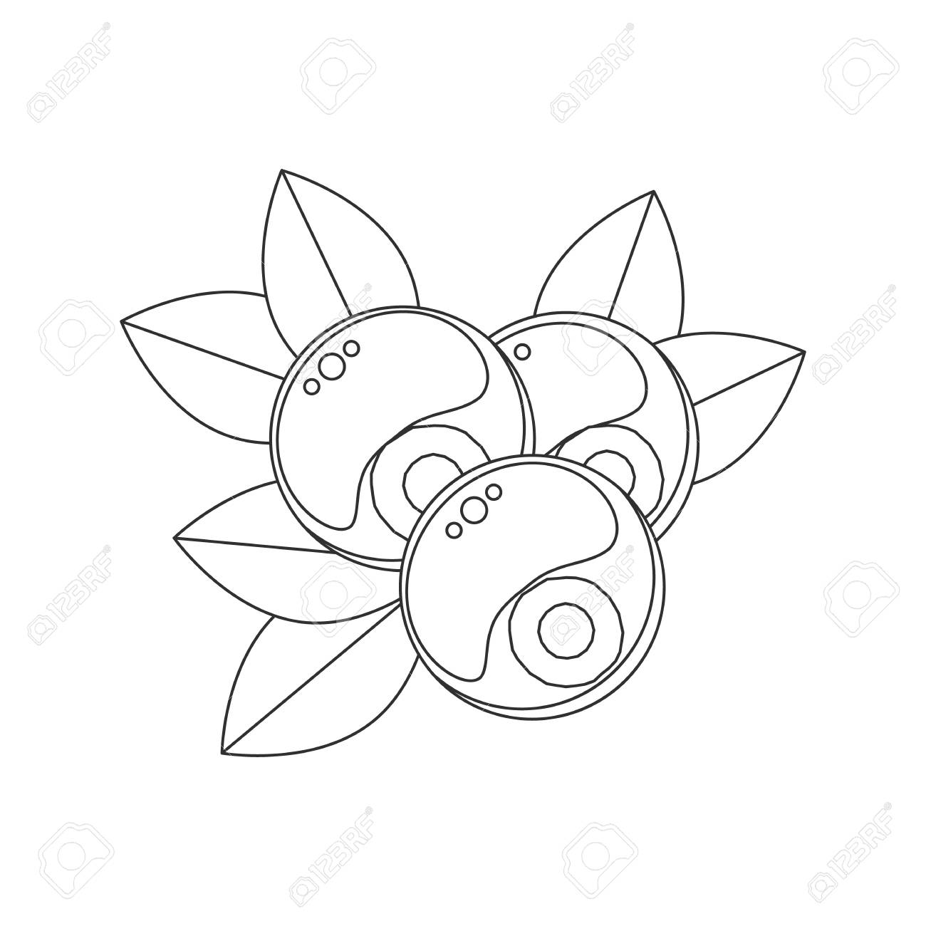 free coloring pages of blueberries