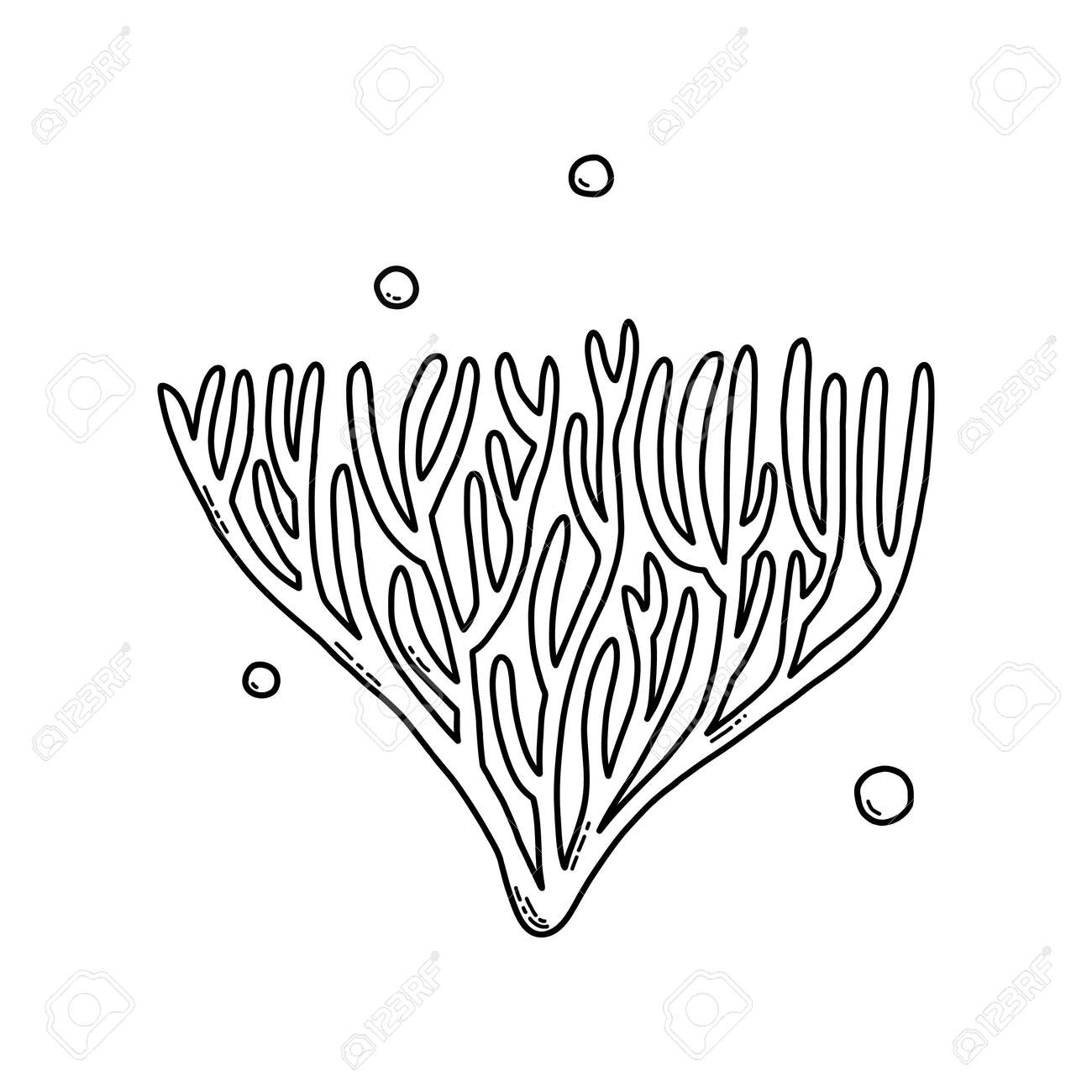 algae coloring pages