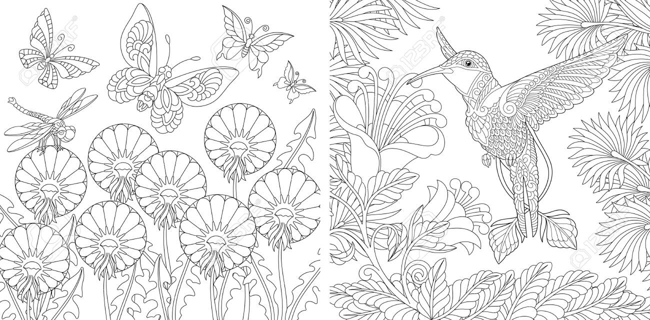 adult coloring pages hummingbirds