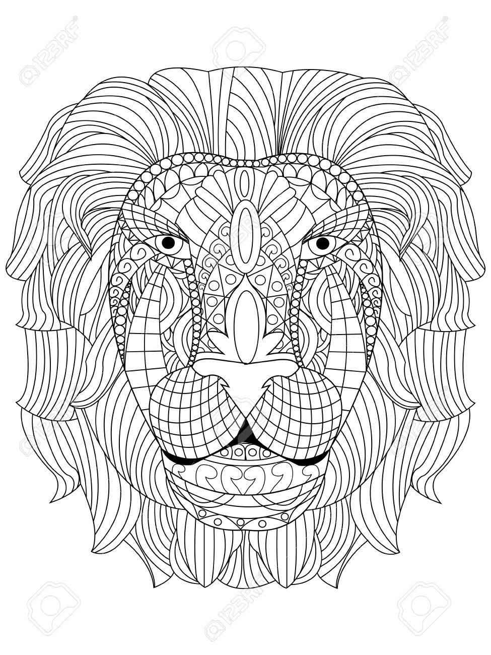 lion and tiger coloring sheet