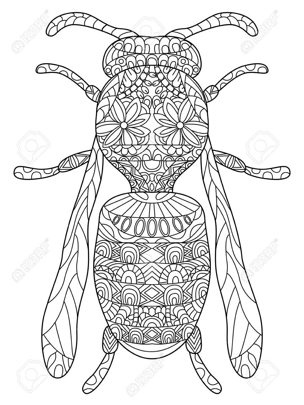 wasp coloring sheet