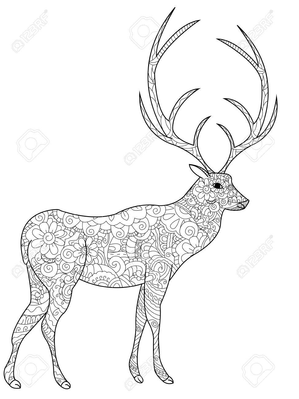 elk coloring book