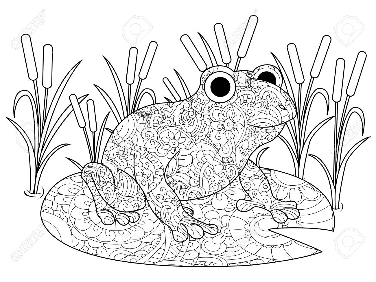 coloring book frog