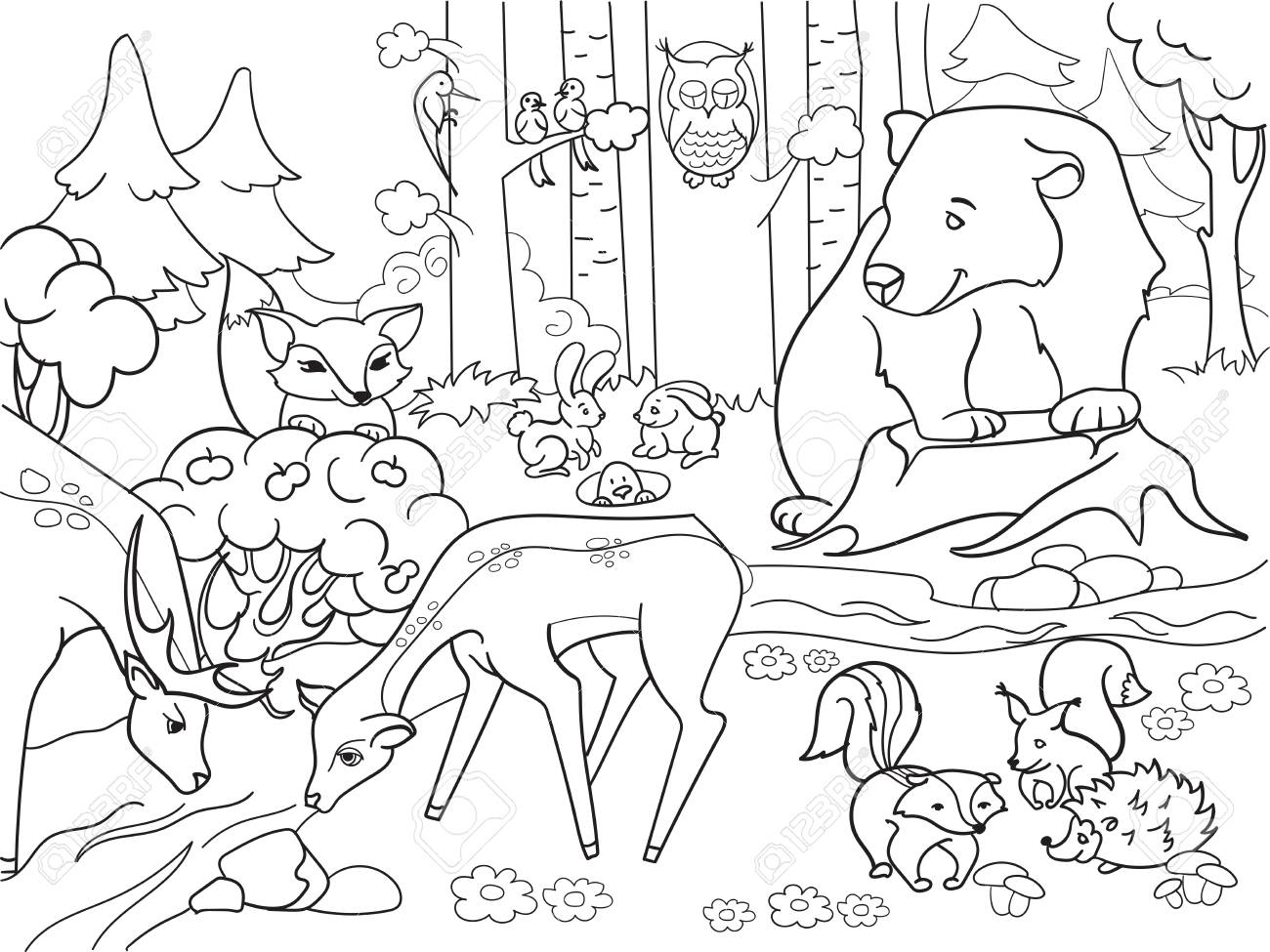 weasel coloring book