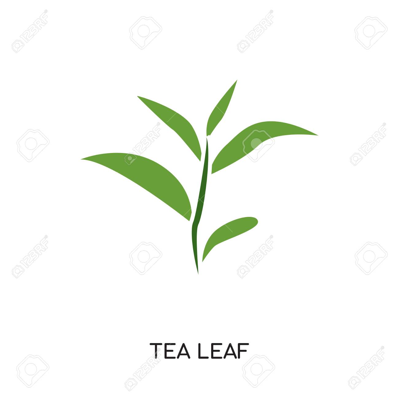tea leaf vector logo