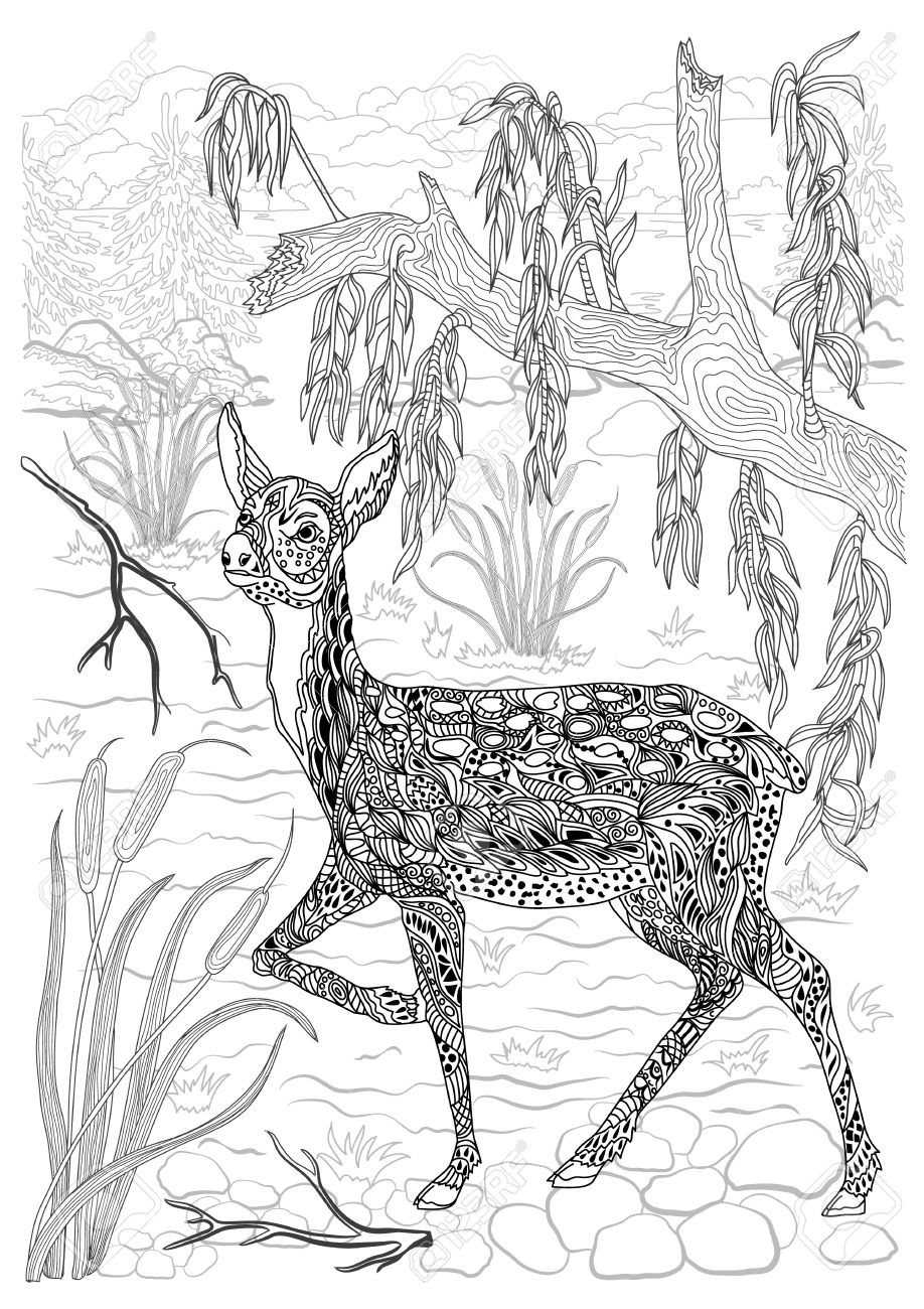 free deer coloring pages for adults