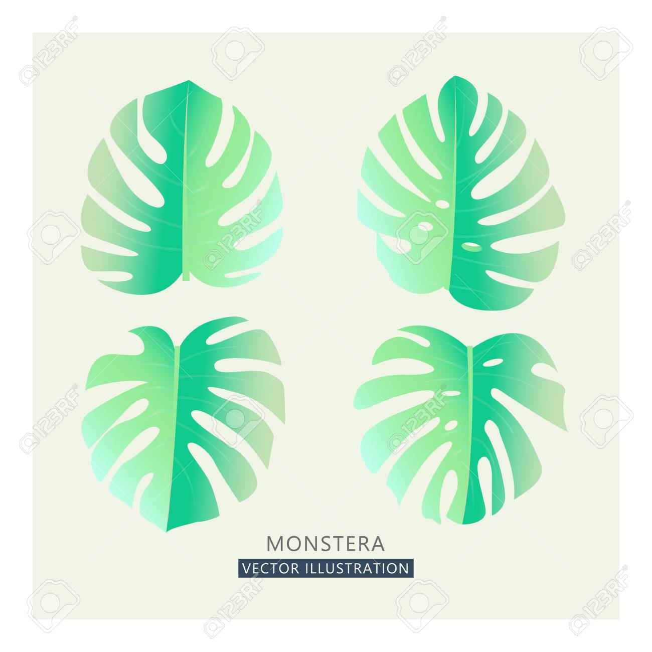 how to draw tropical leaves